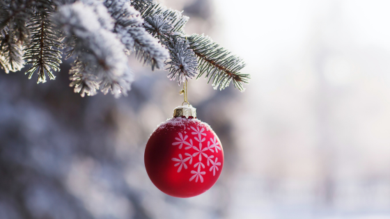 Discover the Magic: 5 Must-See Holiday Spots on Long Island - Howard ...