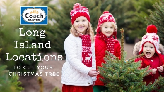 Posts from December 3rd, 2018